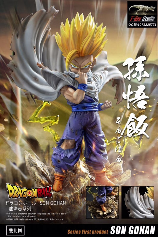 GK Resin Statue Figure Dragon Ball Super Saiyan Son Gohan by T-Rex Stu ...